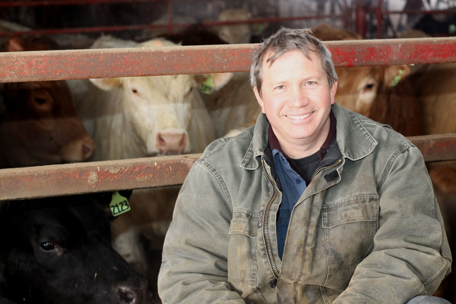 Veterinarian Testimonials - Art Of Management Inc.